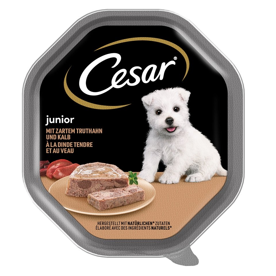 CESAR Junior pate pentru pui de catel 150 g curcan si vitel :: Câini ...
